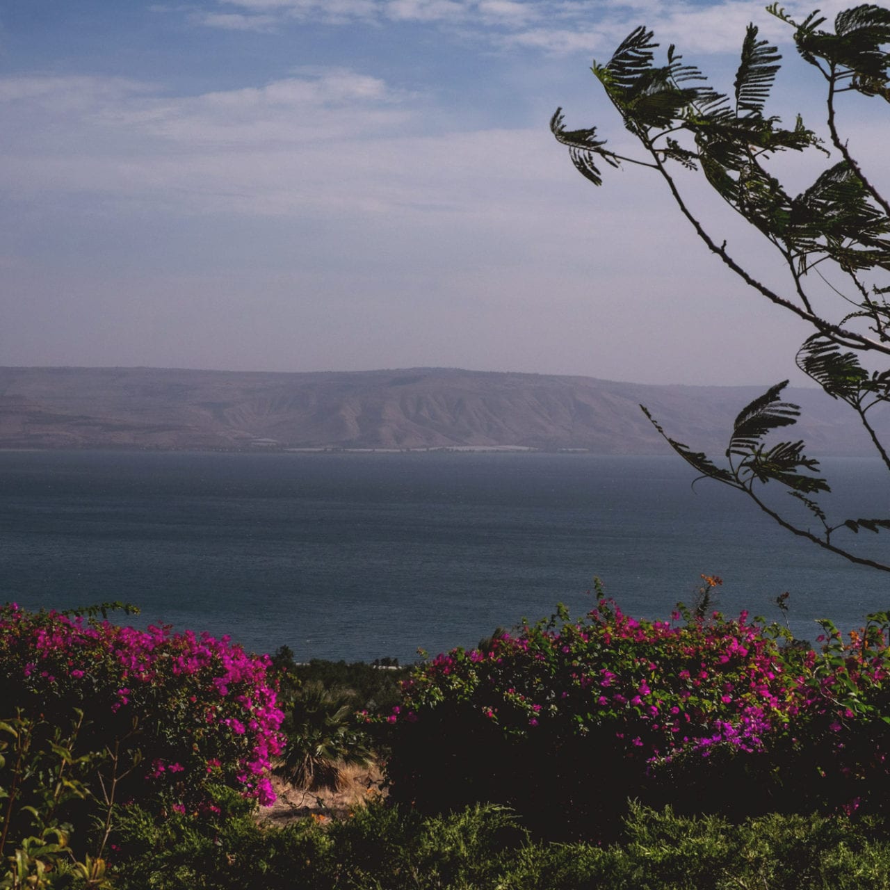 The Perfect Sun - Capturing Christianity