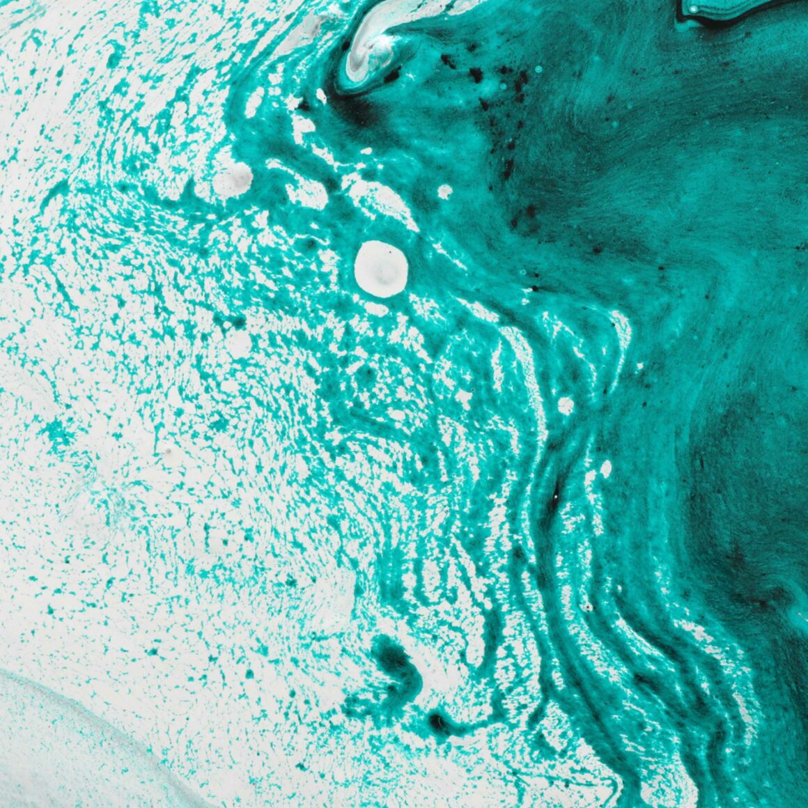 The Top 3 Apologetics Books Christian Philosophers Say You Should Read ...